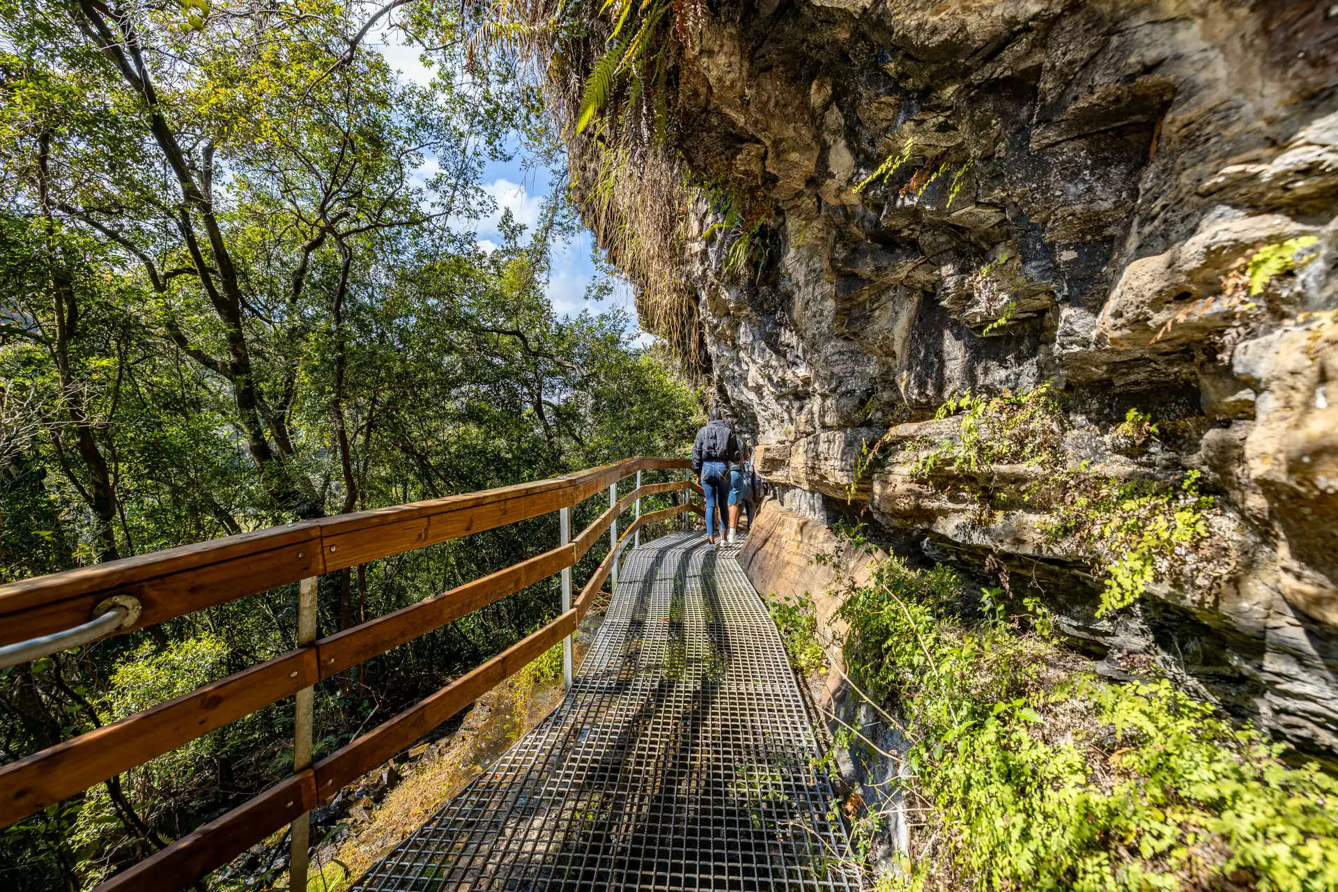 The Next-Level Walk | Graskop Gorge Lift Company